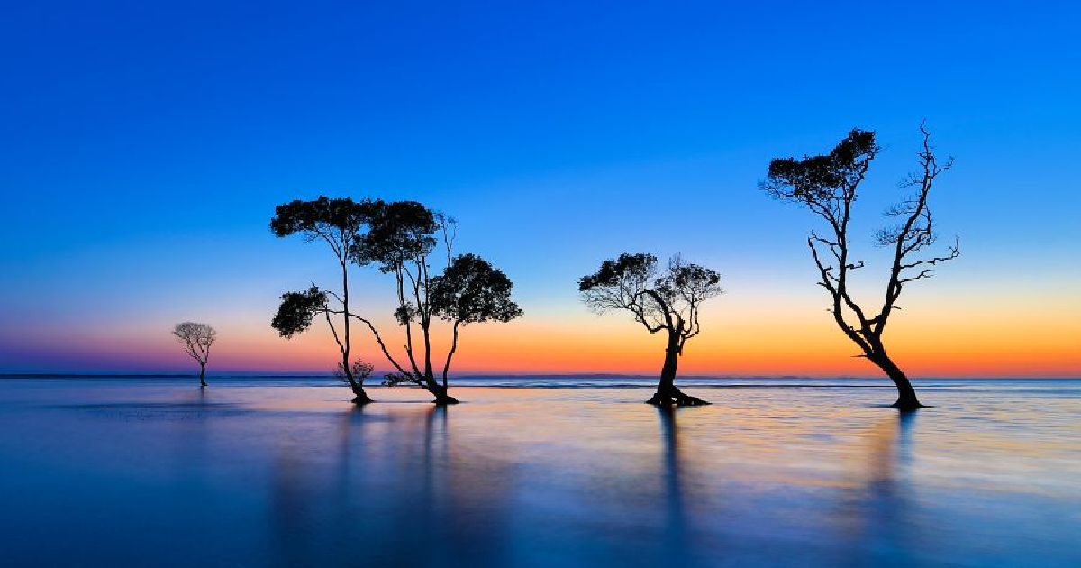 T-Travel Photography - Amazing Nature | LensCulture