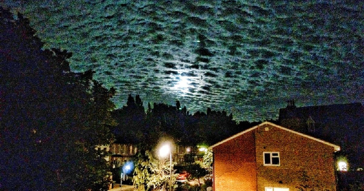 Limor Tevet | Street Photography Awards 2016 Entry