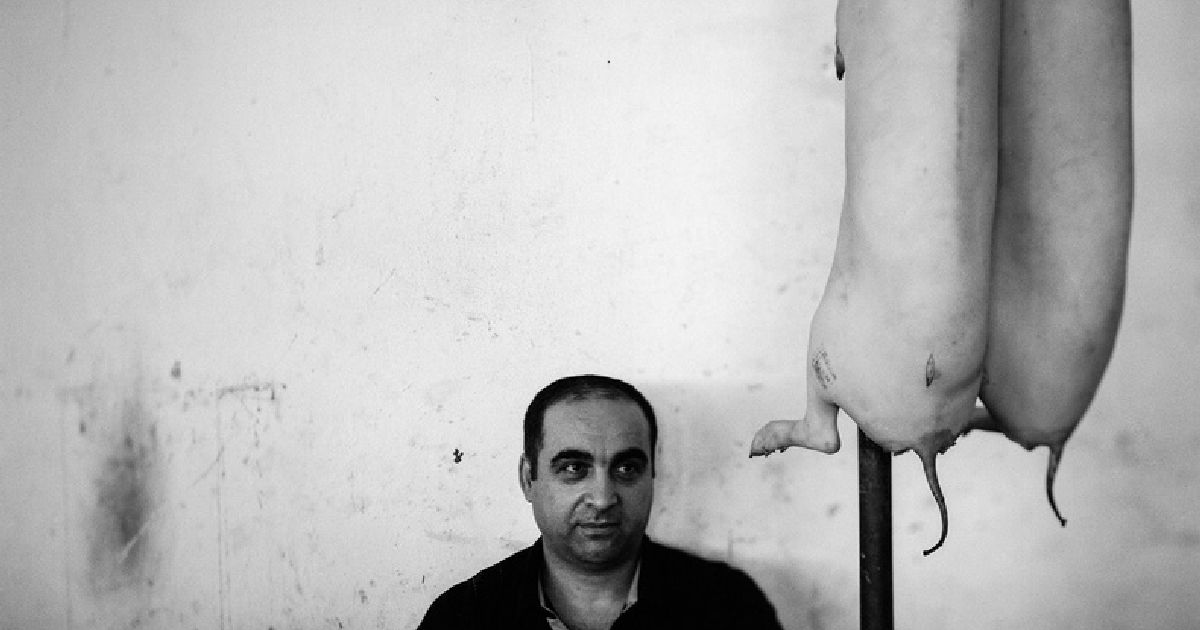 Radek & Maja Polak & Kaszkur | Portrait Awards 2016 Entry