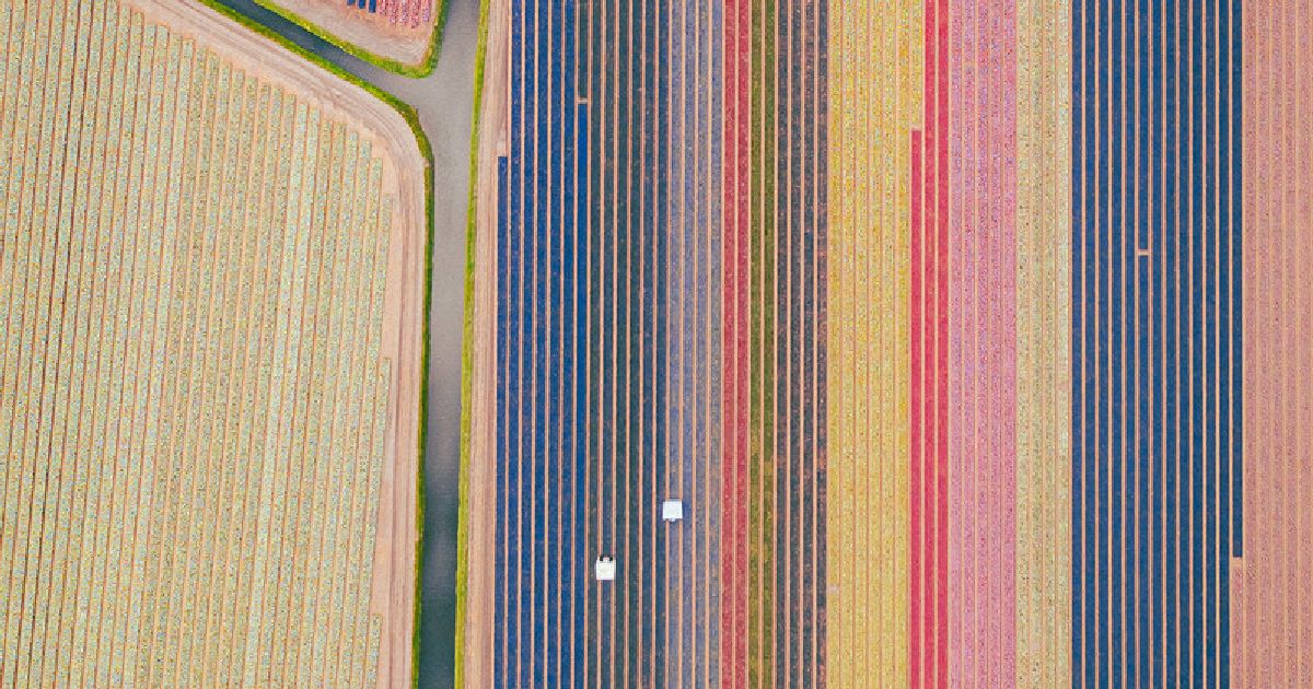 Dimitri Weber - Untitled | LensCulture