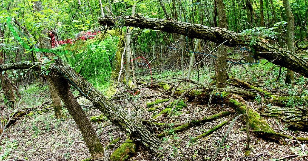 Steve Yates - Pandemic Special Edition | LensCulture