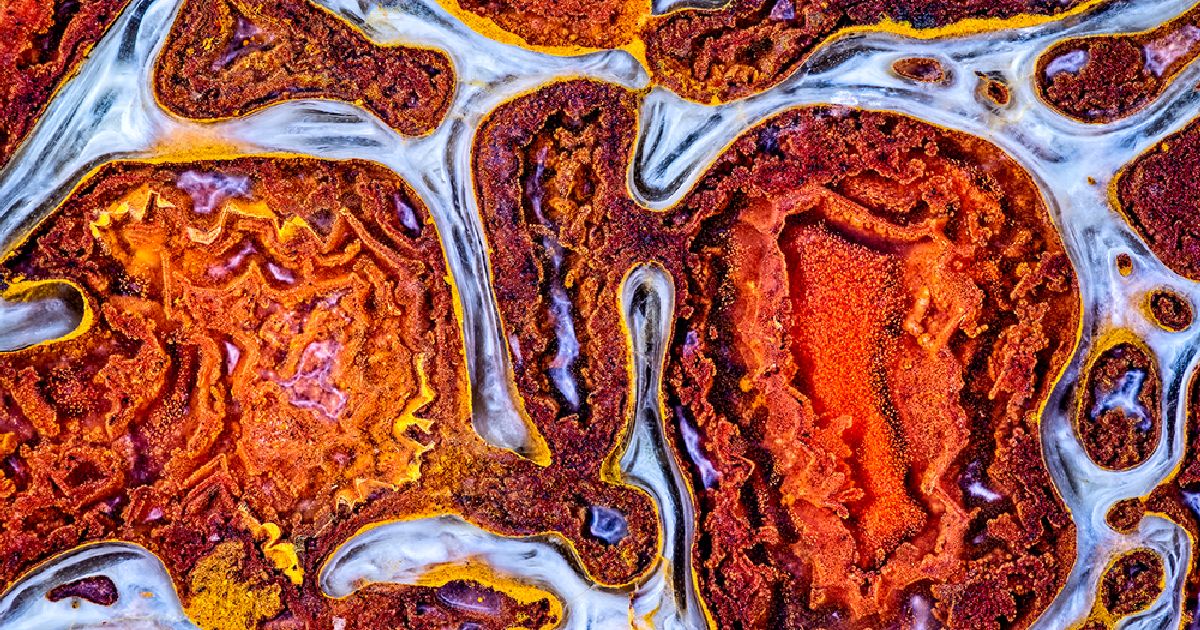 Randy Fullbright - Dinosaur bone | LensCulture