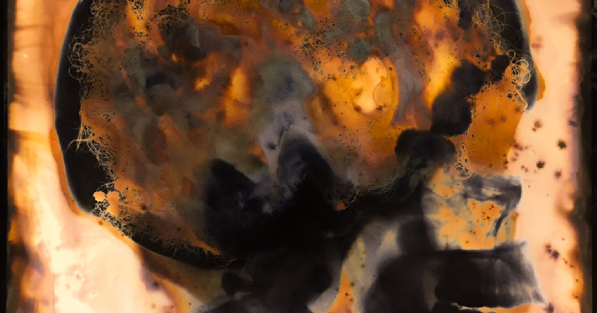 Beverly Rayner | Art Photography Awards 2022 Entry