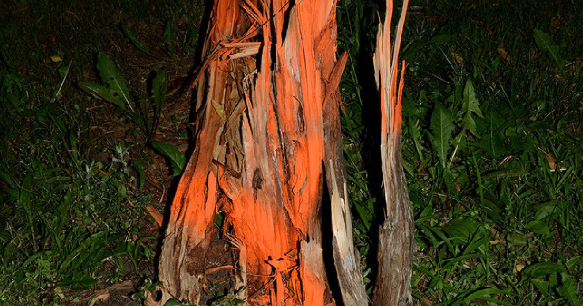 Paula McCartney - Hide the Sun | LensCulture