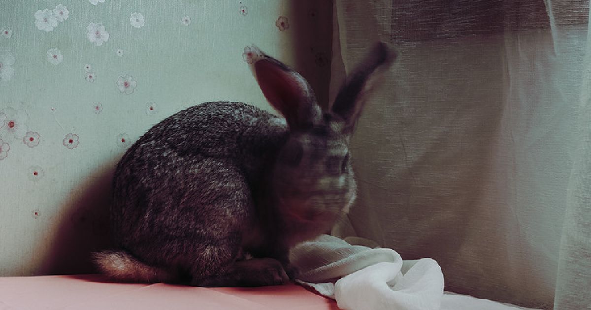 Jei Lee - Untitled | LensCulture