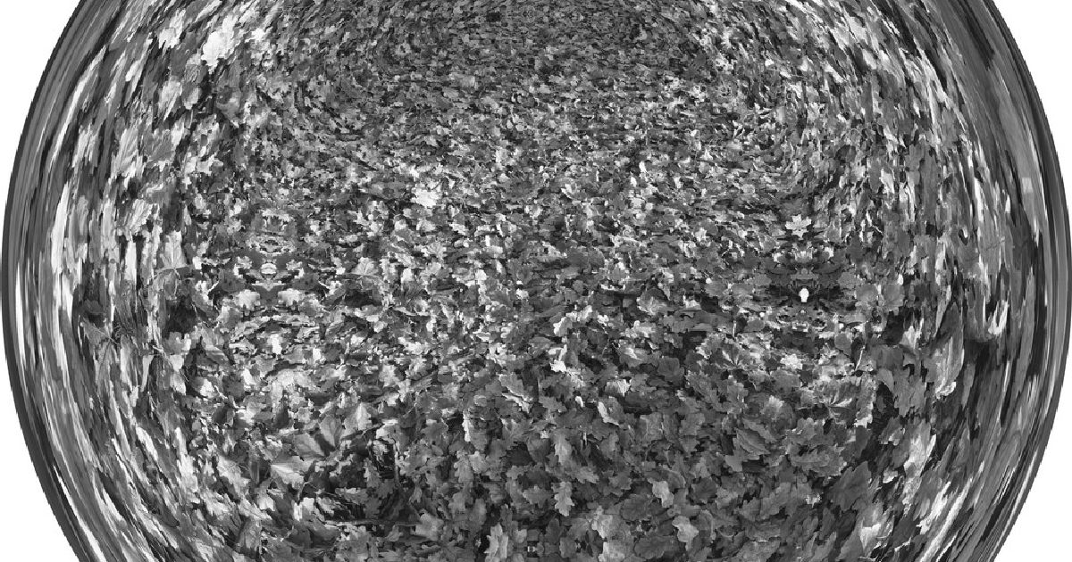 Michał Lewandowski - My eye | LensCulture