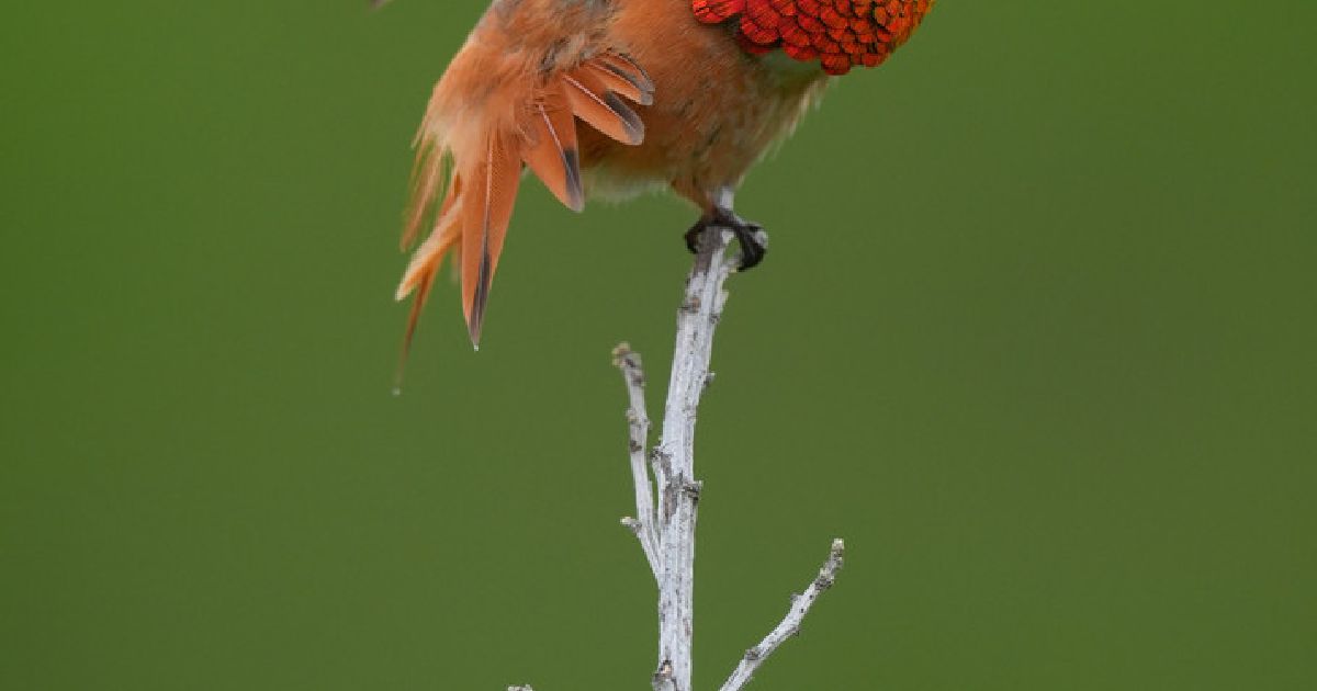 Jason Flaugh - A Time of Stillness | LensCulture