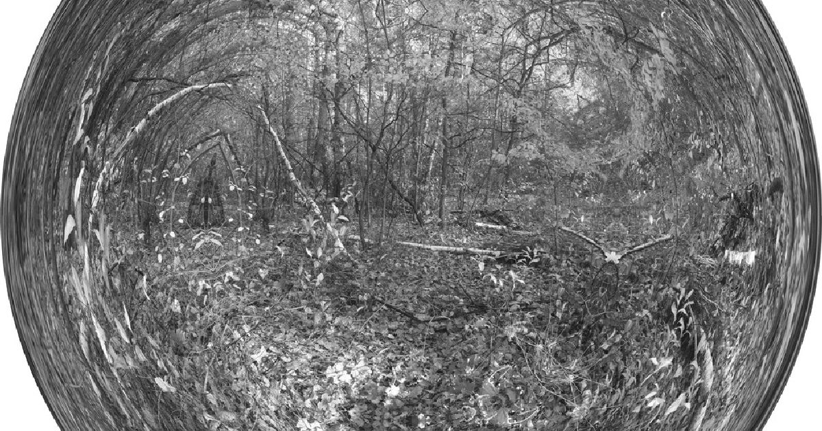 Michał Lewandowski - My eye | LensCulture