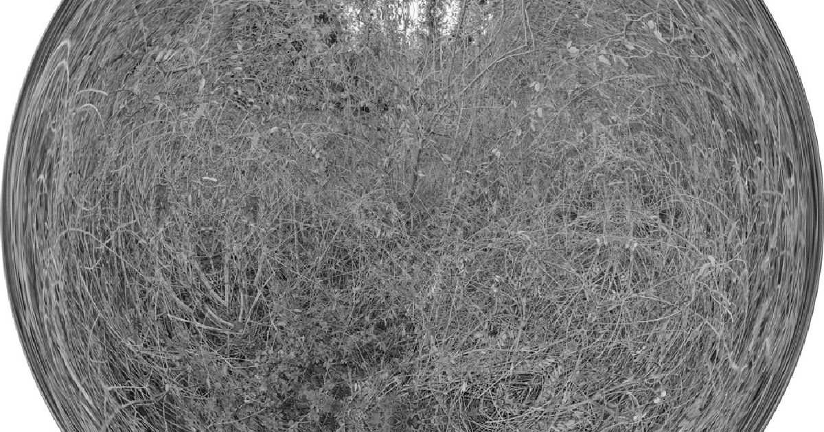 Michał Lewandowski - My eye | LensCulture