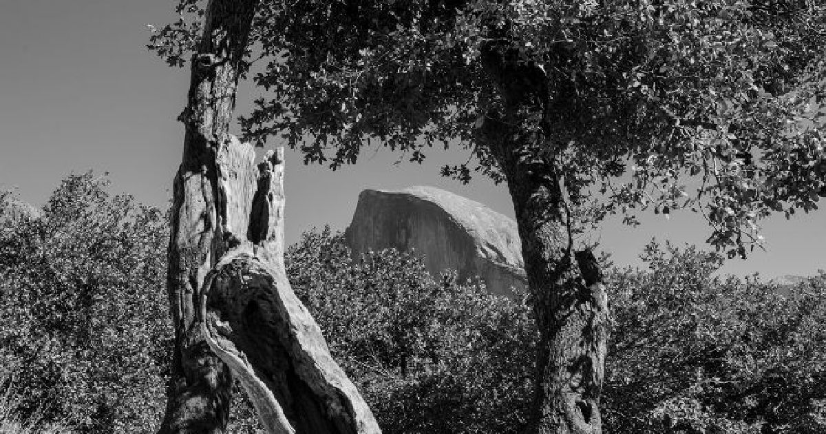 Bill Merritt - Submission | LensCulture