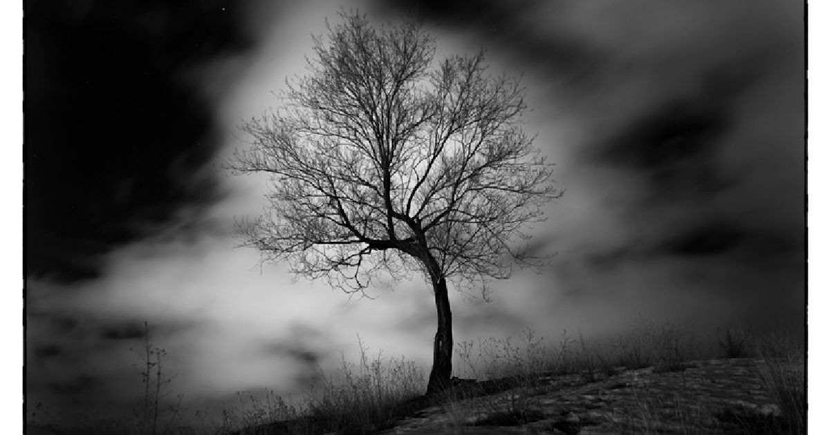 Anthony Gamell - Subtle and dramatic wilderness images. | LensCulture