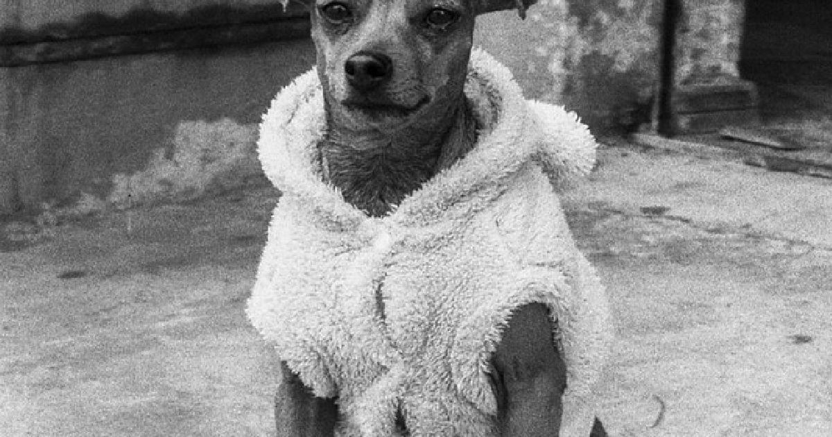 Adrián André - Untitled | LensCulture