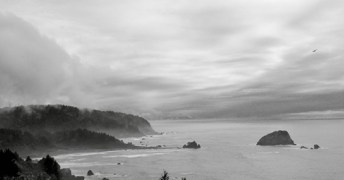 David Boston - Untitled | LensCulture