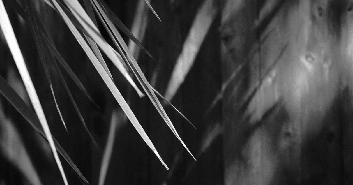 Michelle Frey - Elementals | LensCulture