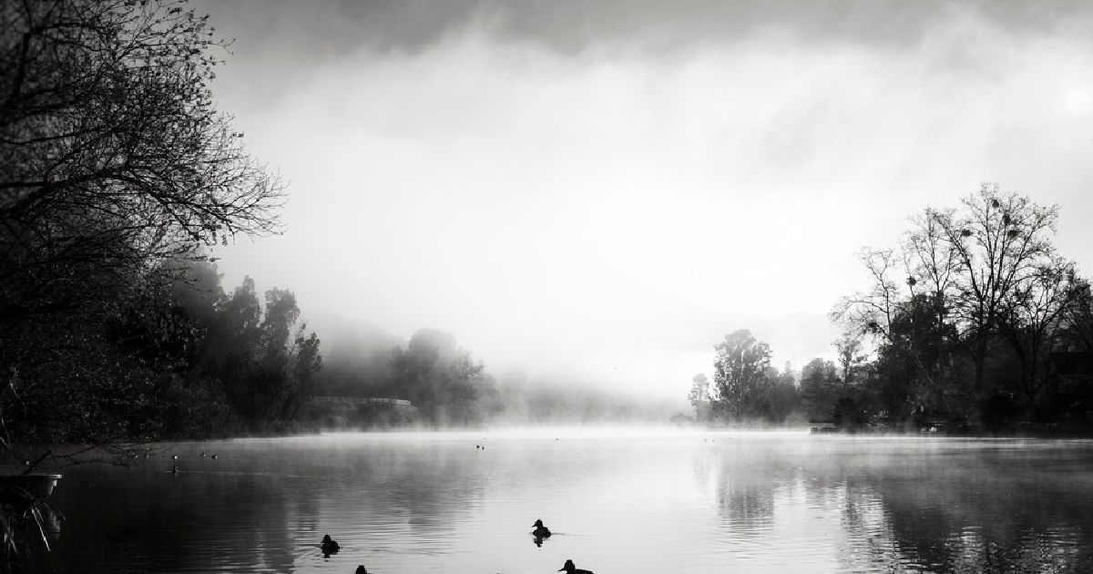 Christina McFaul - Untitled | LensCulture