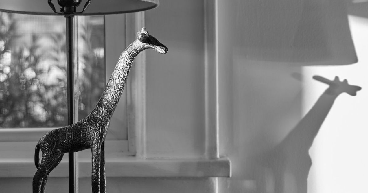 Matthew Barry - Untitled | LensCulture