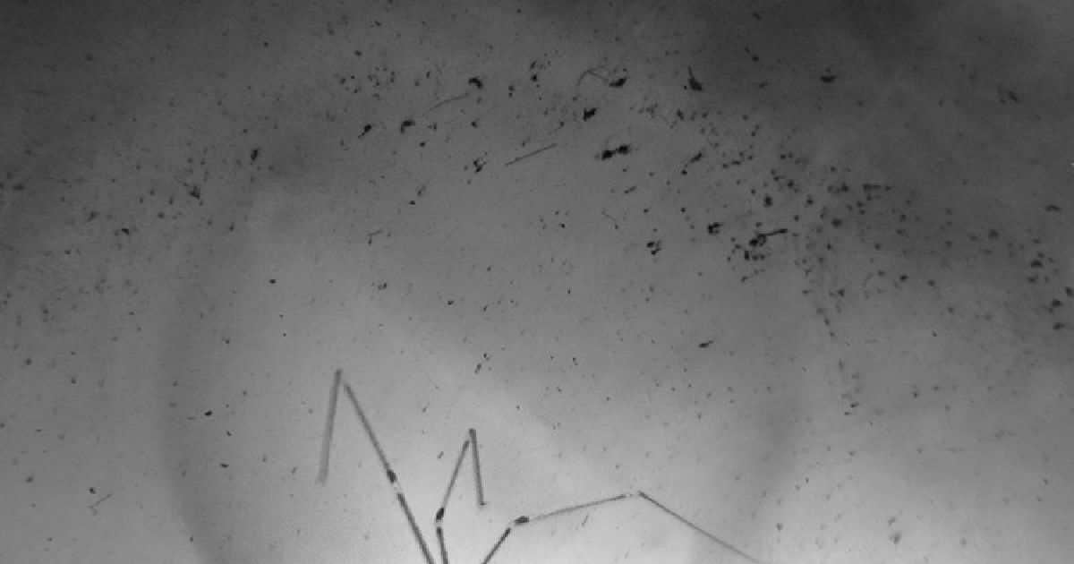 Richard Reitz Smith - Miscellaneous images | LensCulture