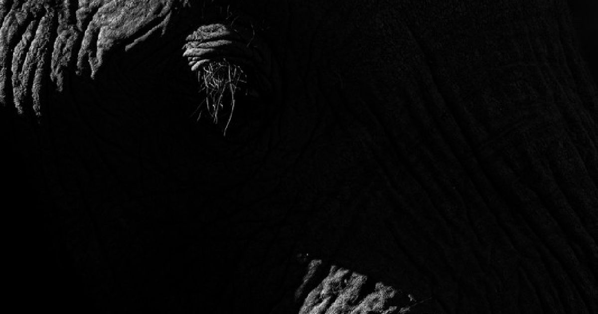 Elizabeth Storms - Untitled | LensCulture