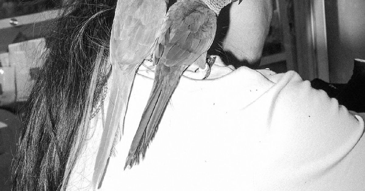 Yao Cai - Untitled | LensCulture