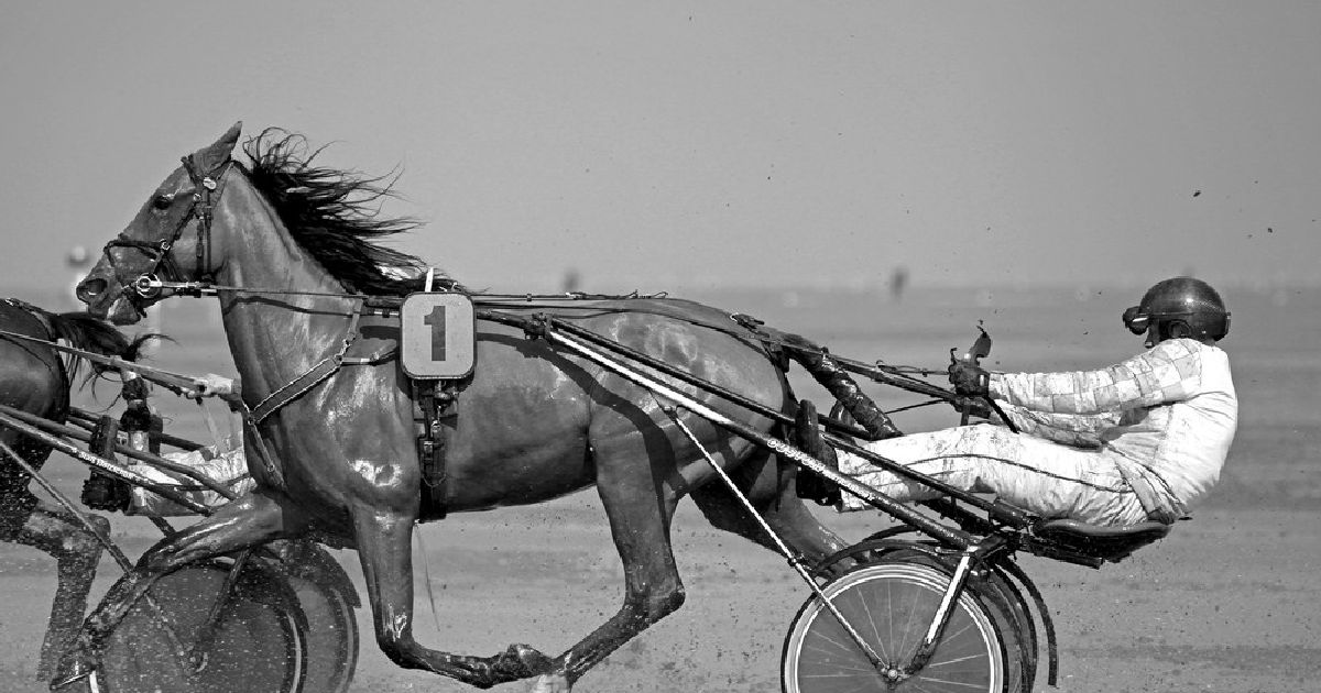 Michael Scheer - Wadden Sea | LensCulture