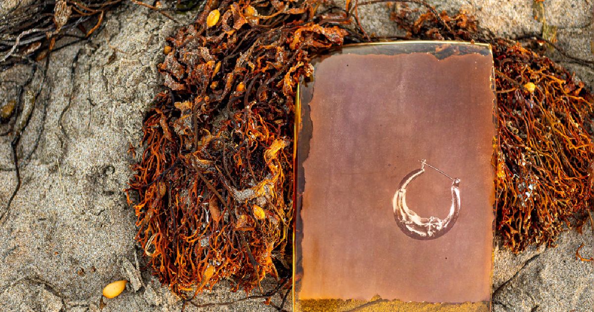 Kalvino Coria - Amber-types: Family Preservation/Taxonomy | LensCulture