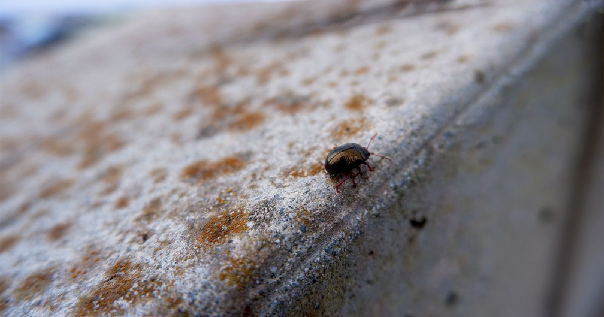 Monet Oganesian - The Variety from Monet | LensCulture