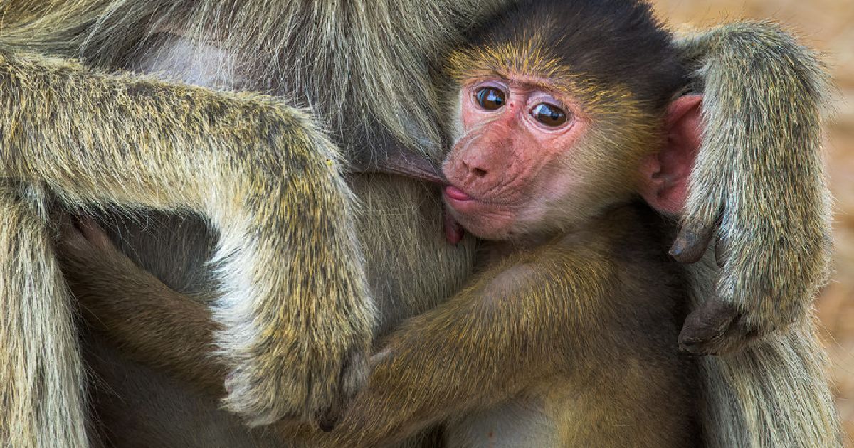 Bruce Finocchio - Critic's Choice 2022 Images | LensCulture