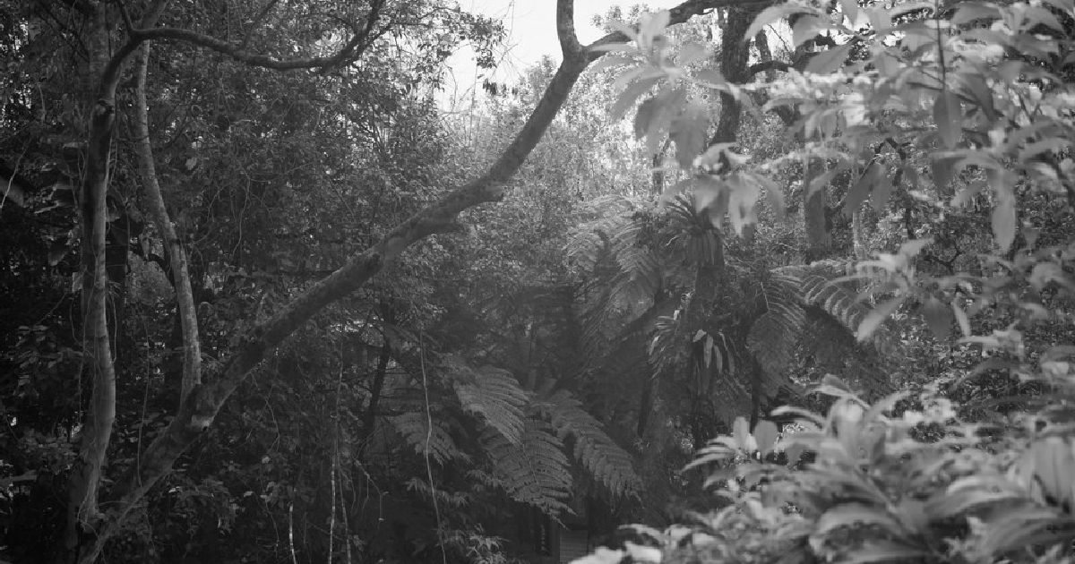 Victoria Manzoli - Untitled | LensCulture