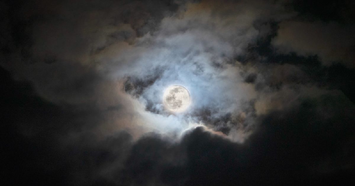 William McDaniels - Nature City and Celestial Faves | LensCulture