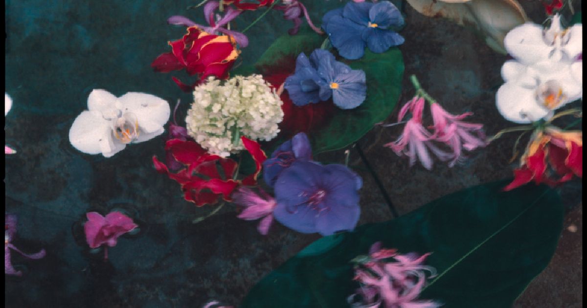 Elizabeth Kitchen - Water Series | LensCulture