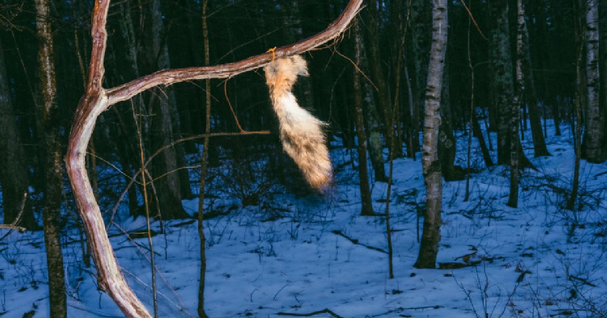 Jake Benzinger - After the Embers Burn and Die | LensCulture