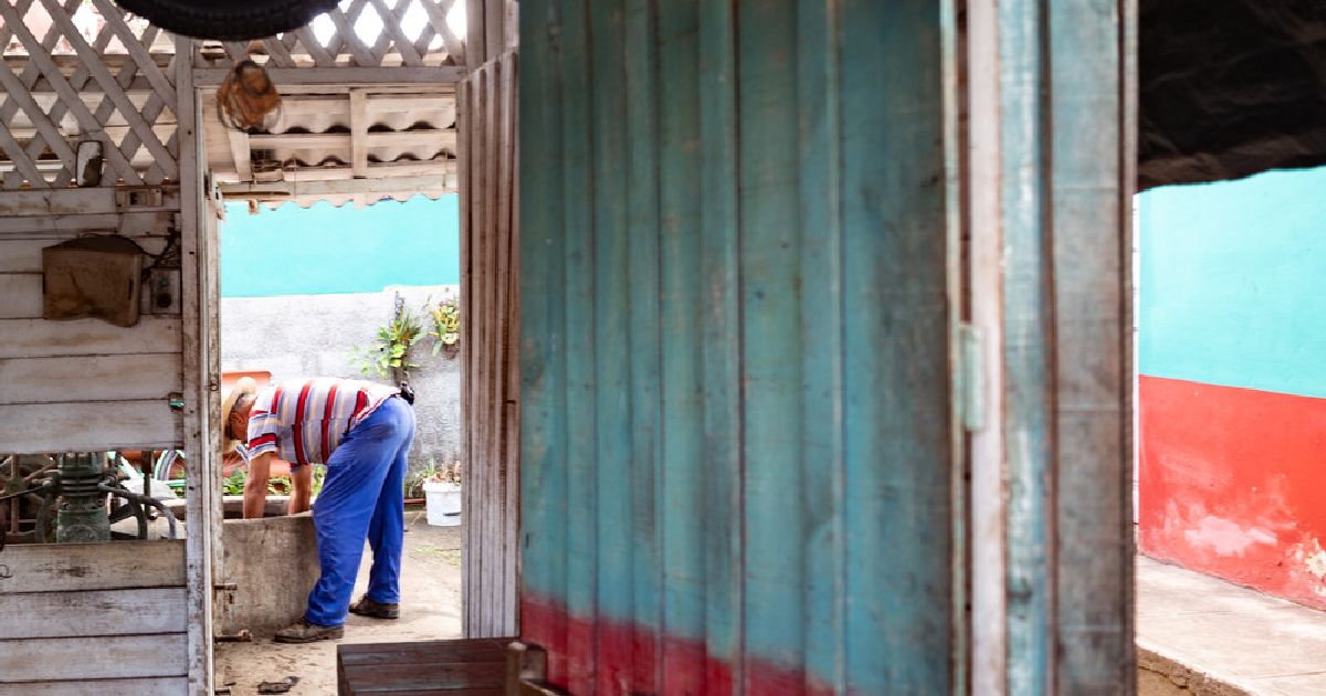 Jan Cohen - Untitled | LensCulture