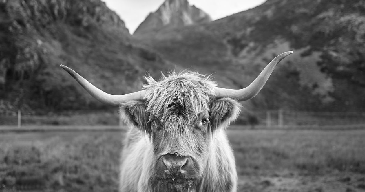 RJ Kern | Exposure Awards 2015 Entry