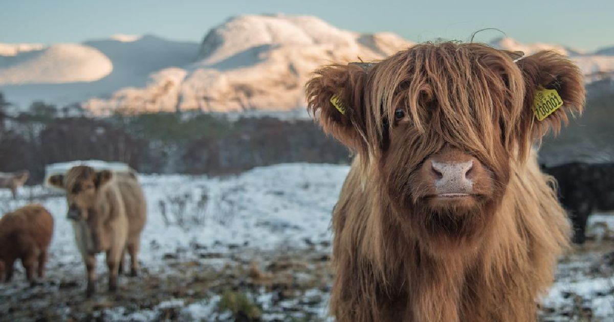 Kyle Macintyre - Untitled | LensCulture