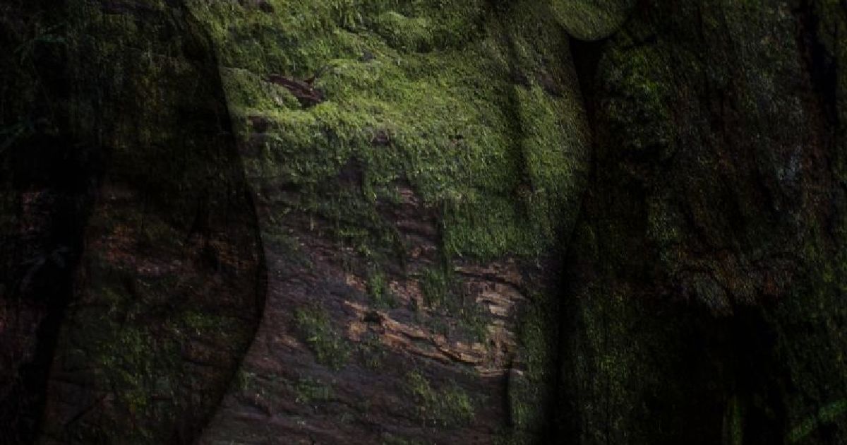 Daniel Bunce - Elemental | LensCulture