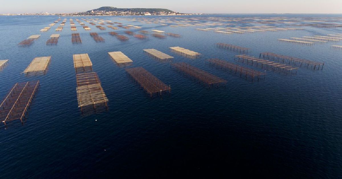 Alain Suissa - Tout simplement, ce que voit mon objectif | LensCulture