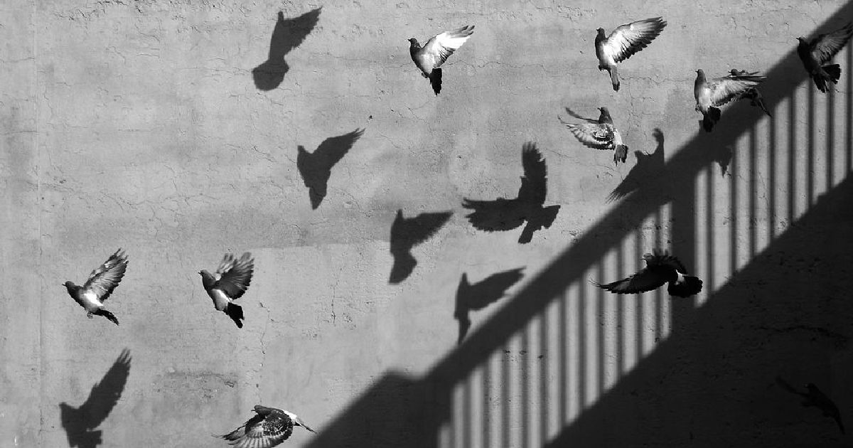 ahsan rahman - Submission | LensCulture