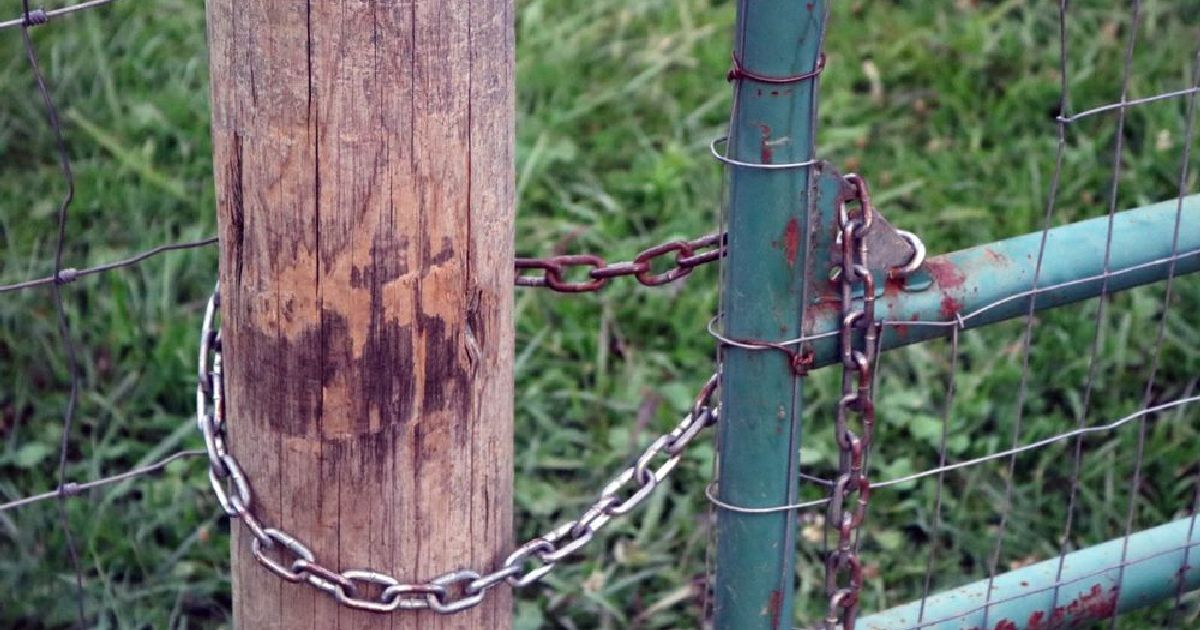 Jon Fenn - Day at the farm | LensCulture