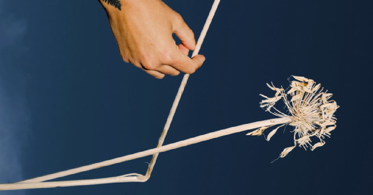 cynthia ortu - Its own character in all its tones | LensCulture