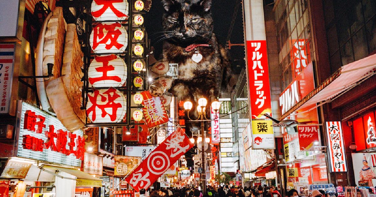 Satomi Sugiyama - The Adventures of Tamarind And Bandit | LensCulture