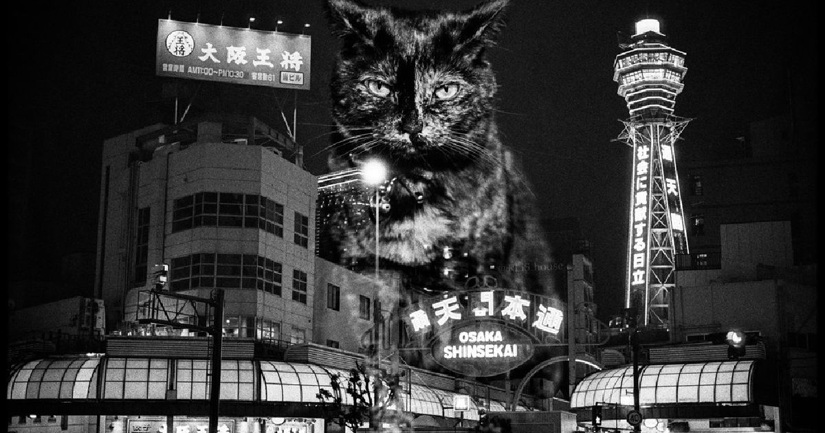 Satomi Sugiyama - The Adventures of Tamarind And Bandit | LensCulture