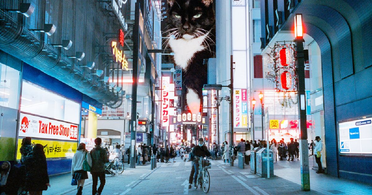 Satomi Sugiyama - The Adventures of Tamarind And Bandit | LensCulture