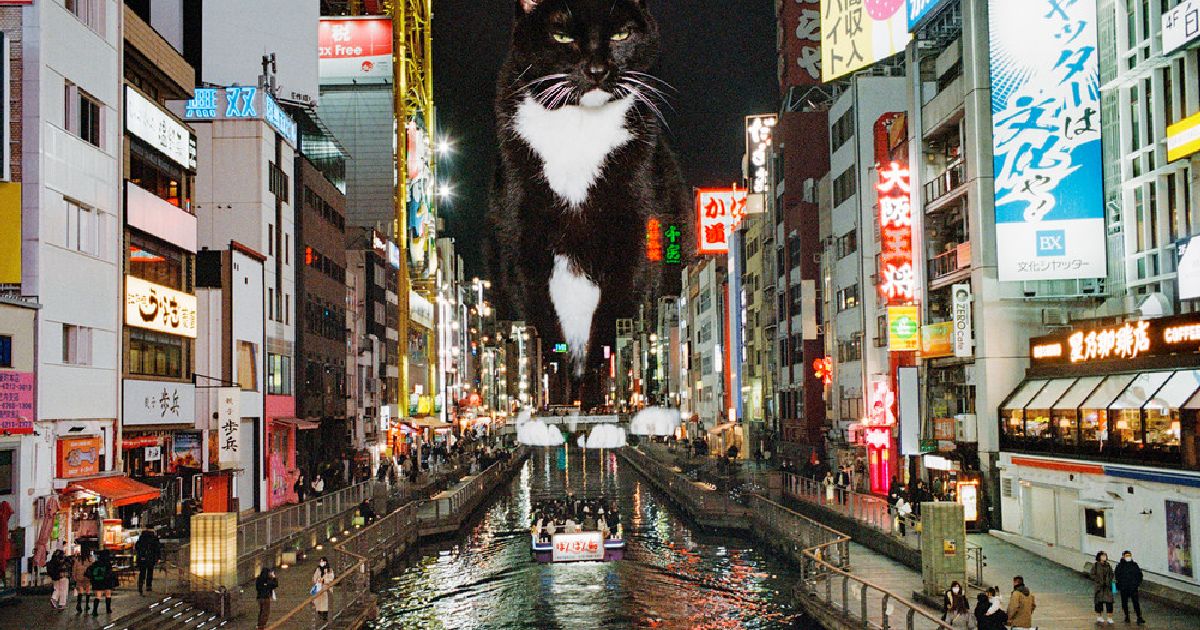 Satomi Sugiyama - The Adventures of Tamarind And Bandit | LensCulture