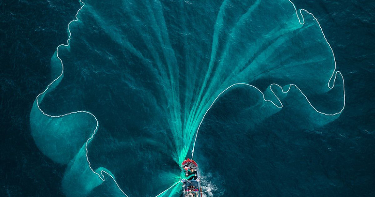 Benjamin Tortorelli - Nets of Hon Yen: Stories of the Sea | LensCulture