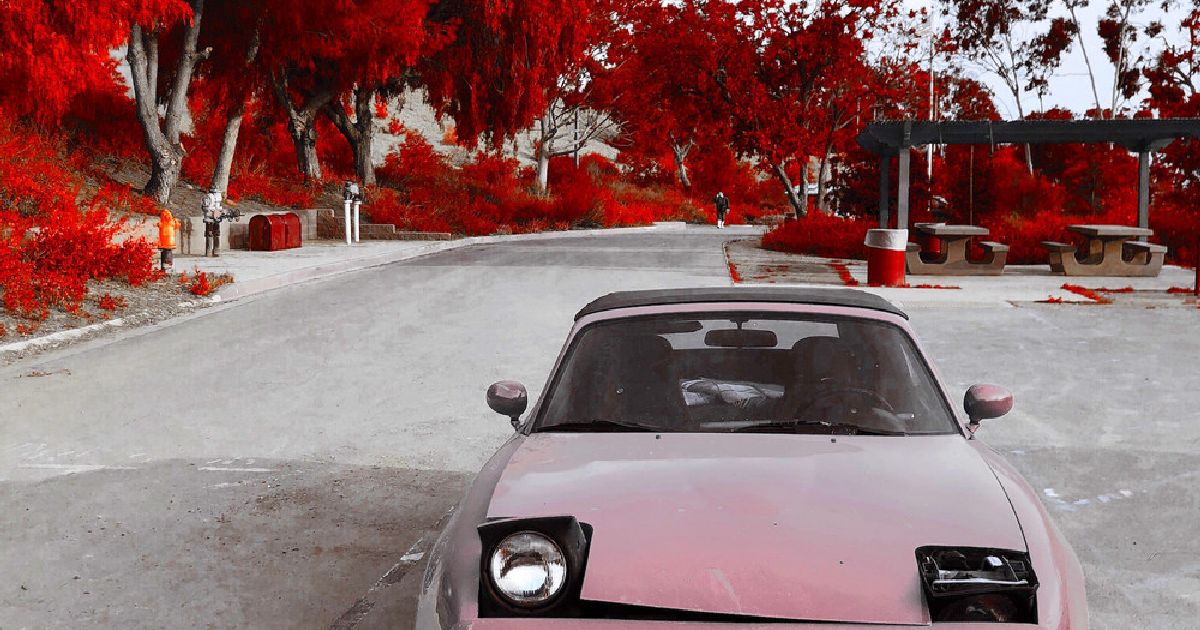 schwarzmodul - - The Red Headless Wink | LensCulture