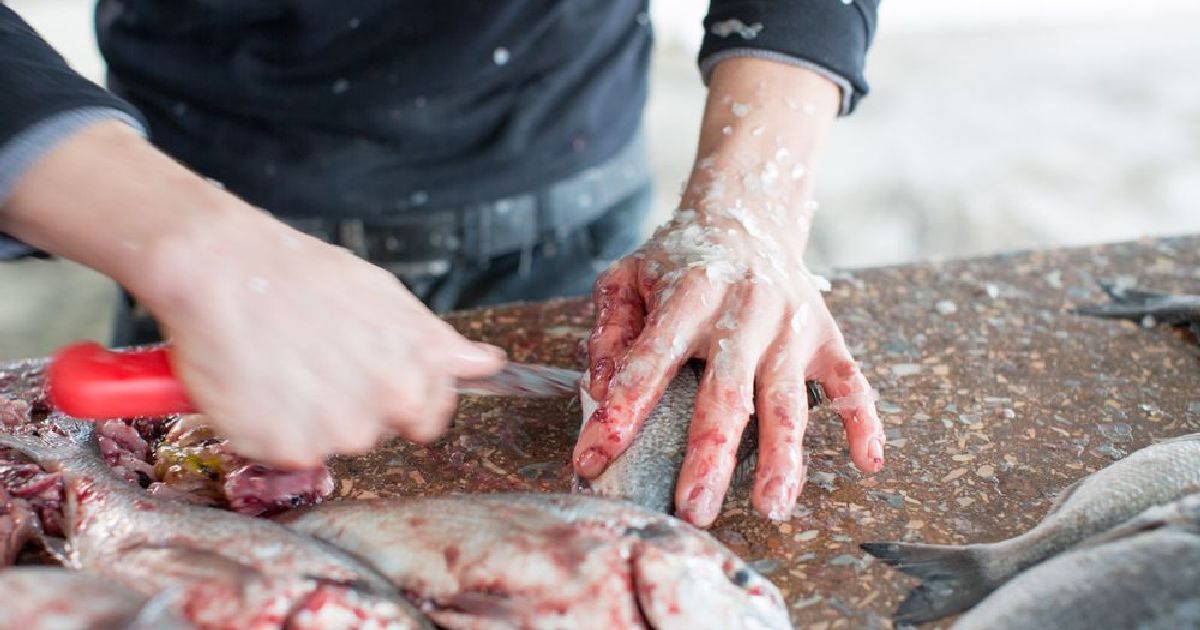 Edward Jonkler - The Blockade | LensCulture