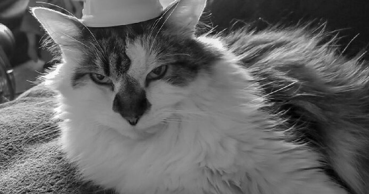 Robert Hover - My Portraits | LensCulture