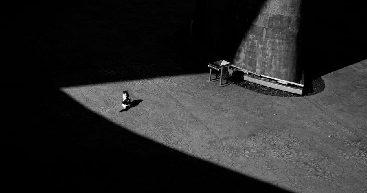 fatih akal - Minimal Photo Series | LensCulture